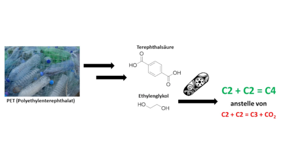 Recycling through bacteria – PETplanet